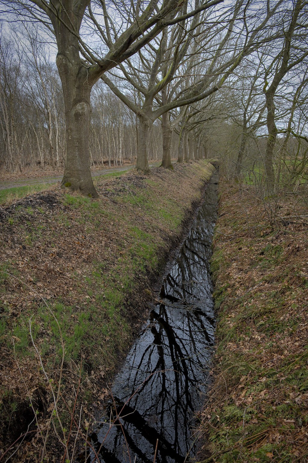 Das Filsumer Moor – Ostfriesland entdecken